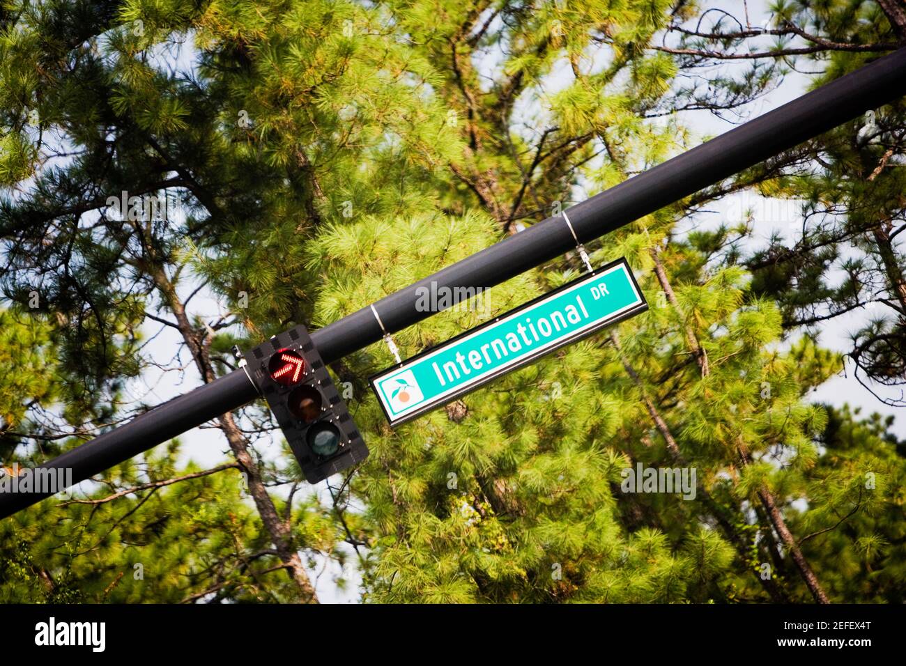 Low angle view of a sign board hanging on a traffic pole Stock Photo ...