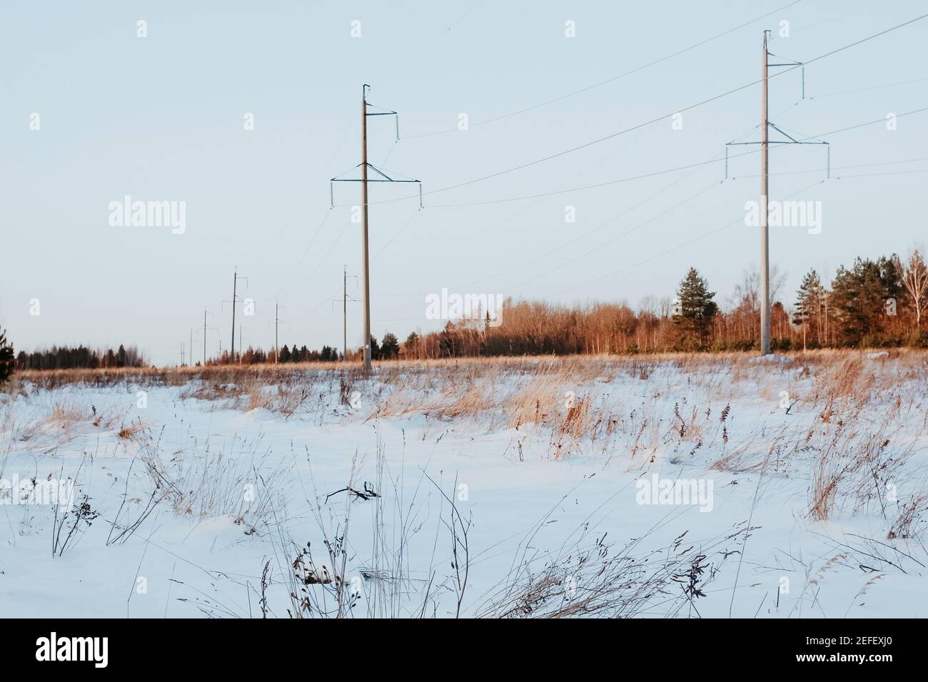 Snowy field with trees and power lines on a winter day Stock Photo - Alamy