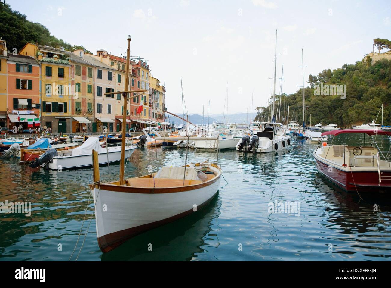 Boats moored at a harbor, Italian Riviera, Portofino, Genoa, Liguria ...