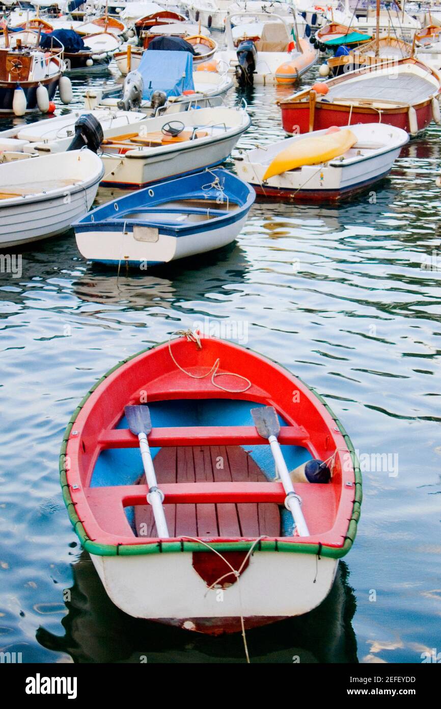 Boats moored at a harbor, Italian Riviera, Portofino, Genoa, Liguria ...