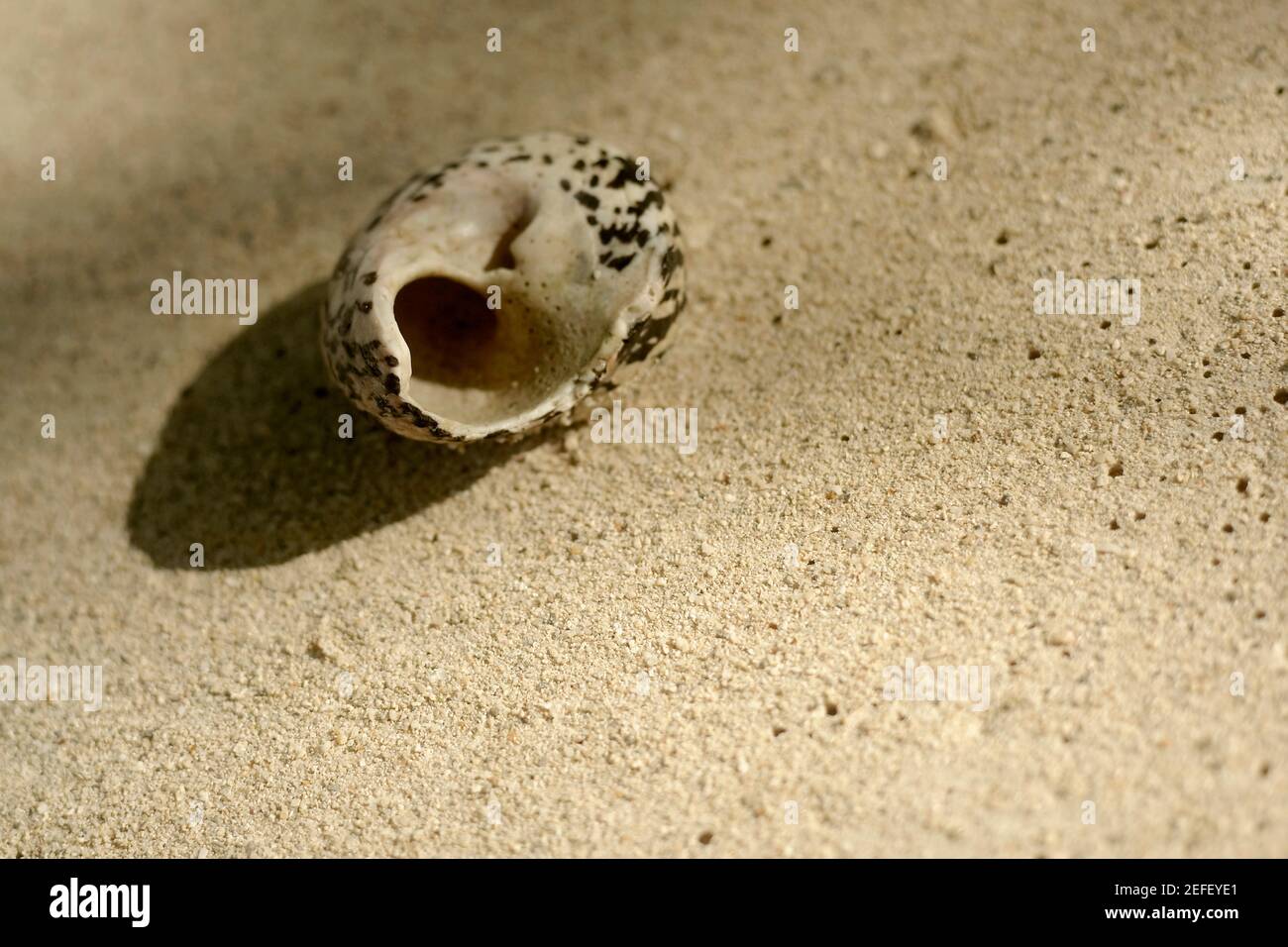 Broken color hi-res stock photography and images - Alamy