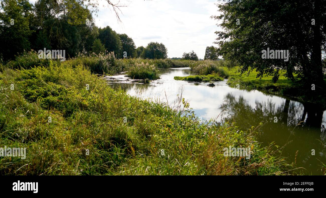 Landscape of a pond in a field covered in greenery under a cloudy sky ...