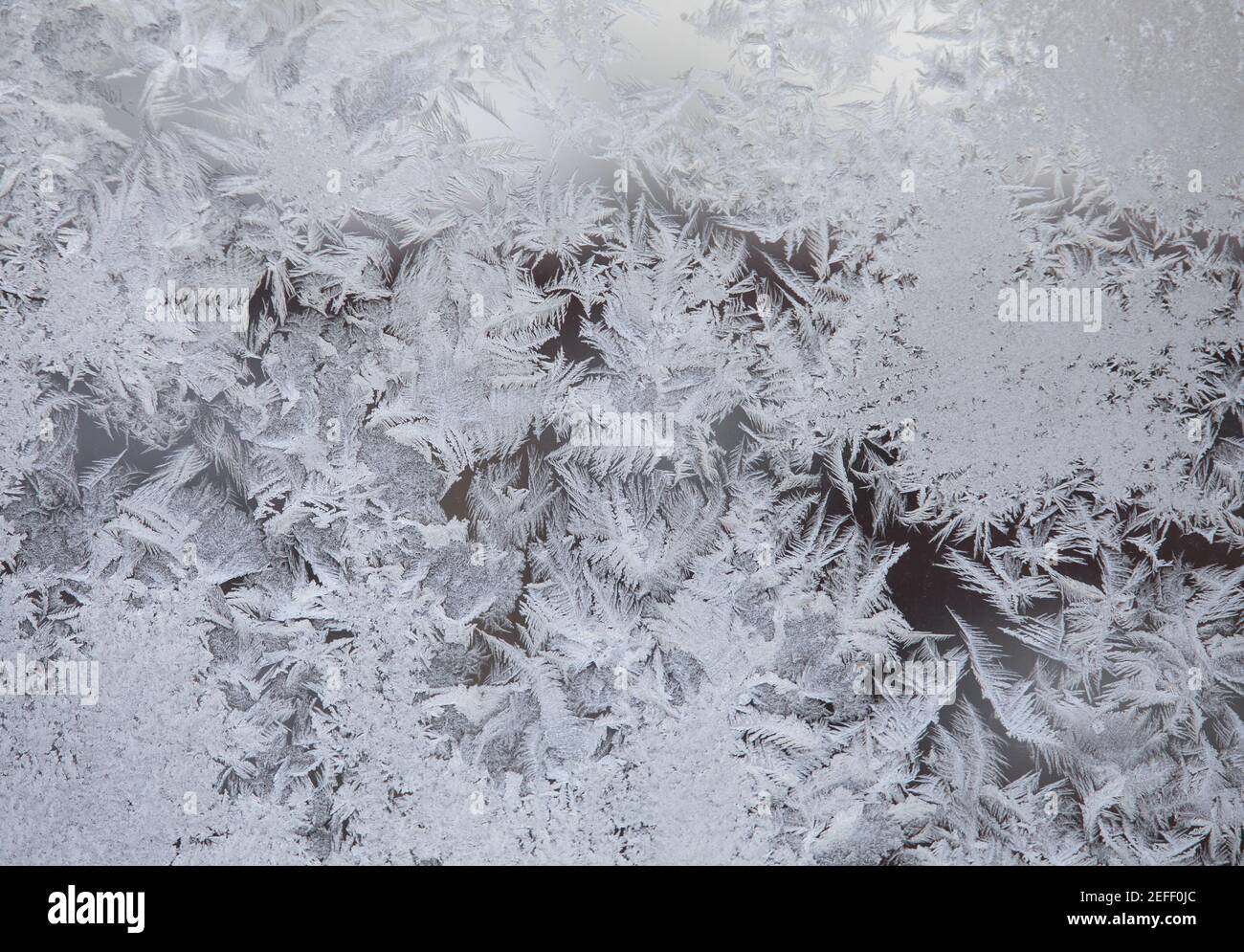 Frost patterns on the glass Stock Photo - Alamy