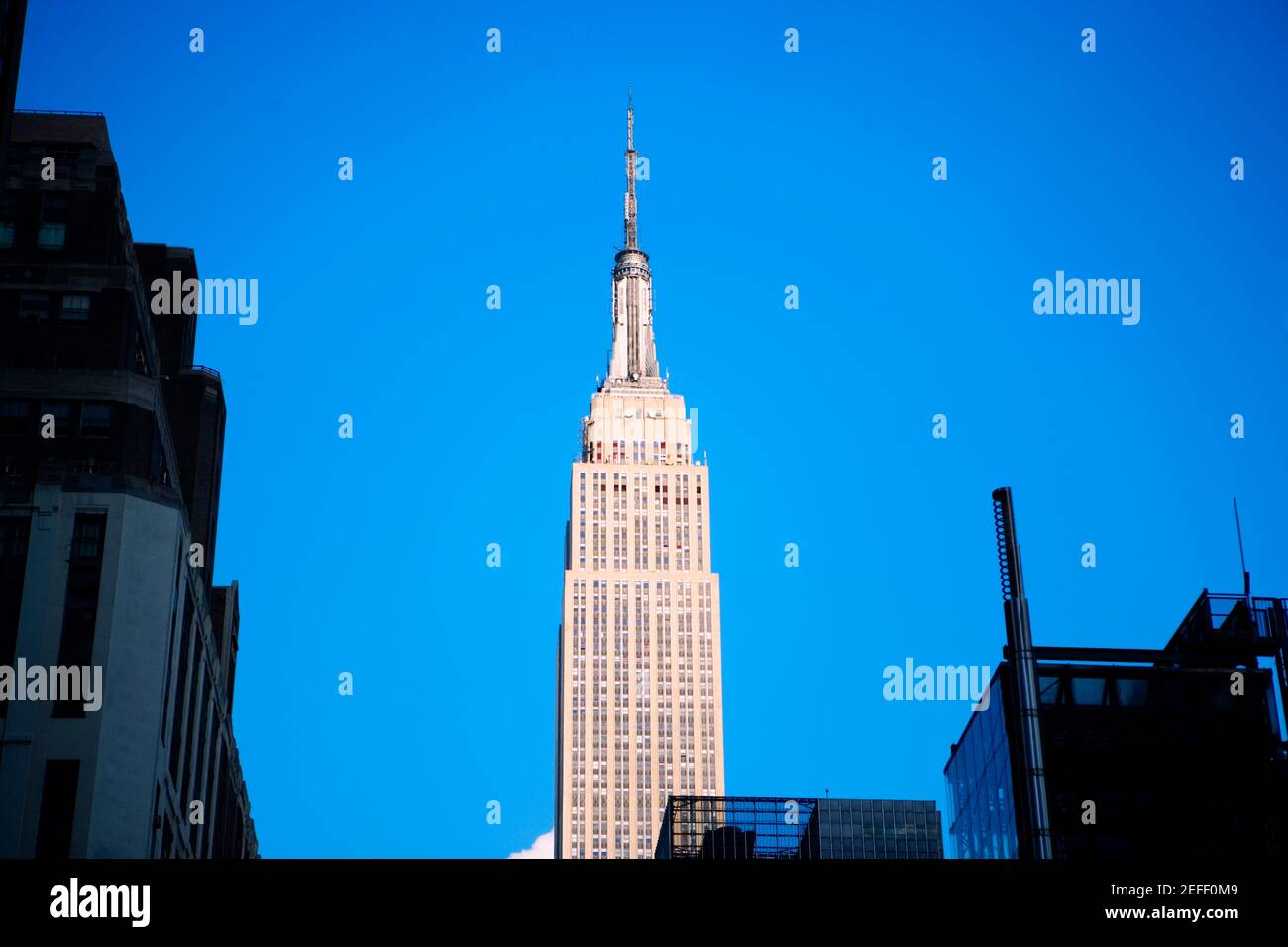Low angle view of a skyscraper, Empire State Building, Manhattan, New ...