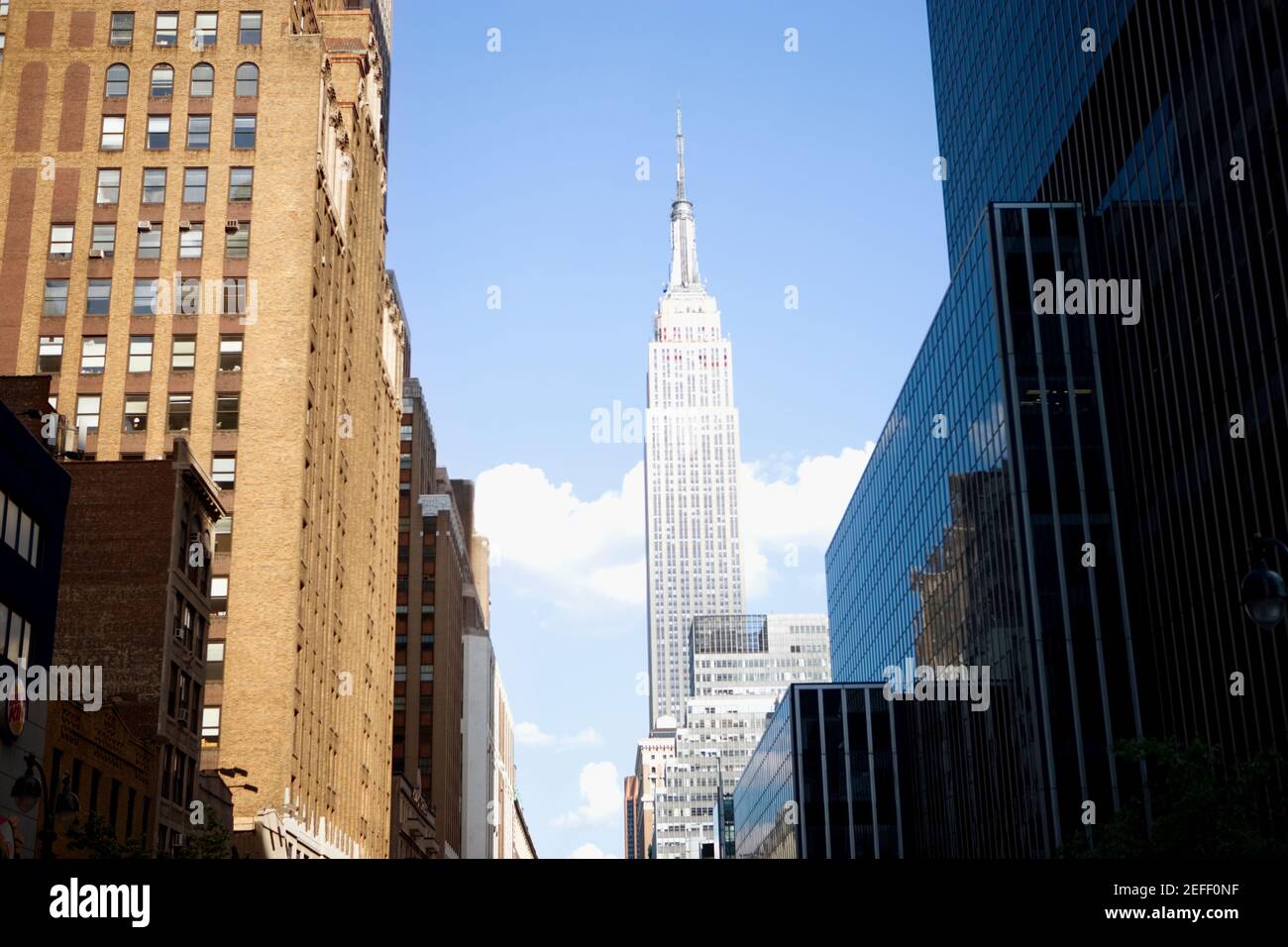 Low angle view of buildings in a city, Empire State Building, Manhattan ...