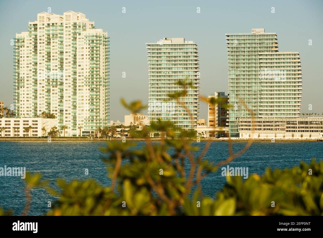 Skyline miami man hi-res stock photography and images - Alamy