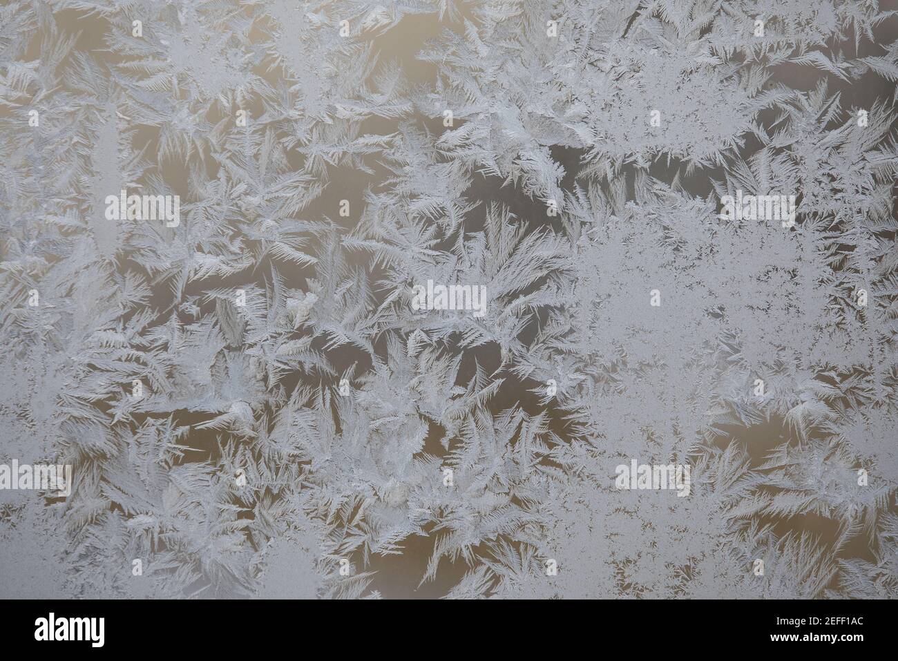 Frost patterns on glass hi-res stock photography and images - Alamy