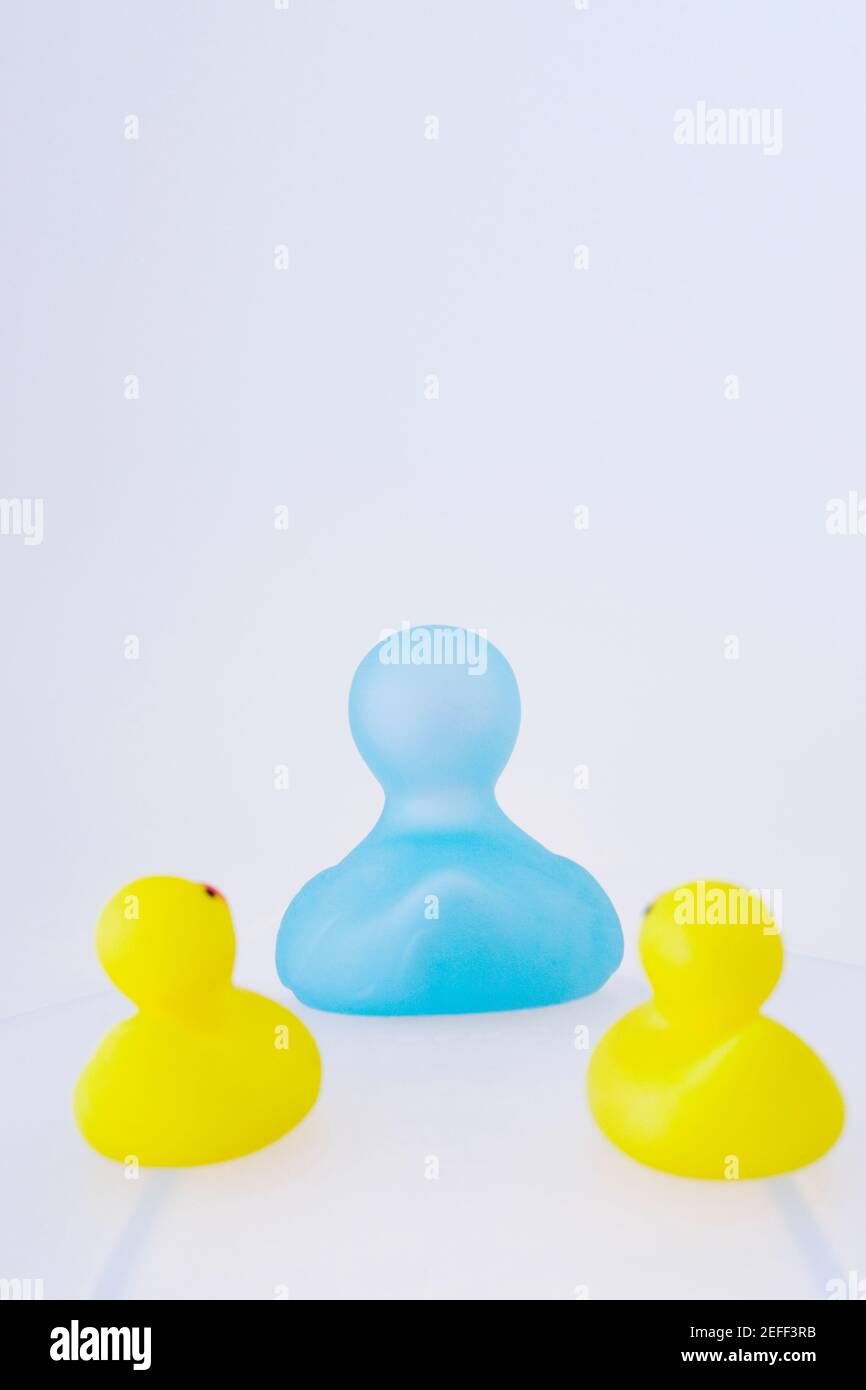 Three rubber ducks on a white background Stock Photo - Alamy