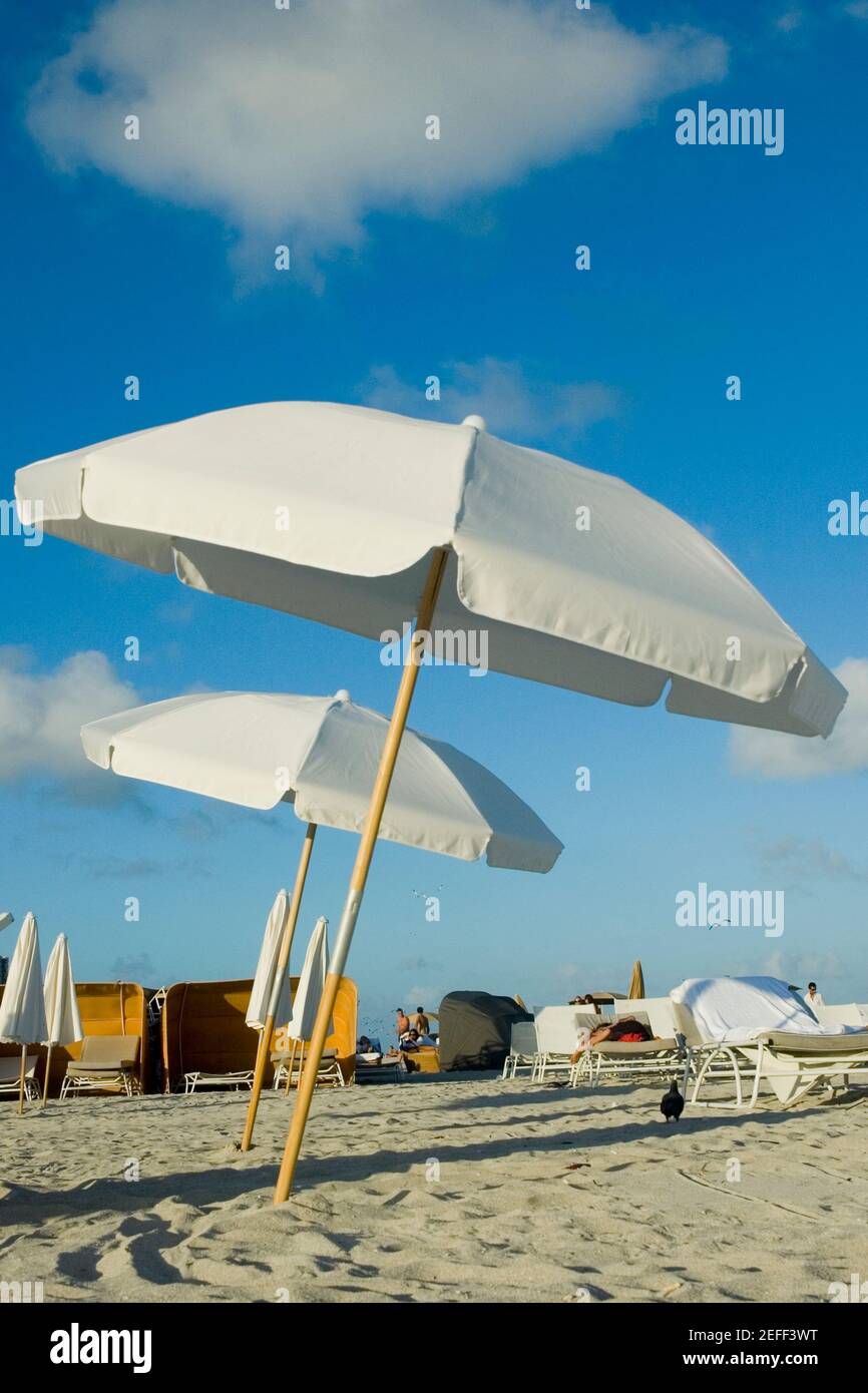 Beach umbrellas on the beach Stock Photo - Alamy