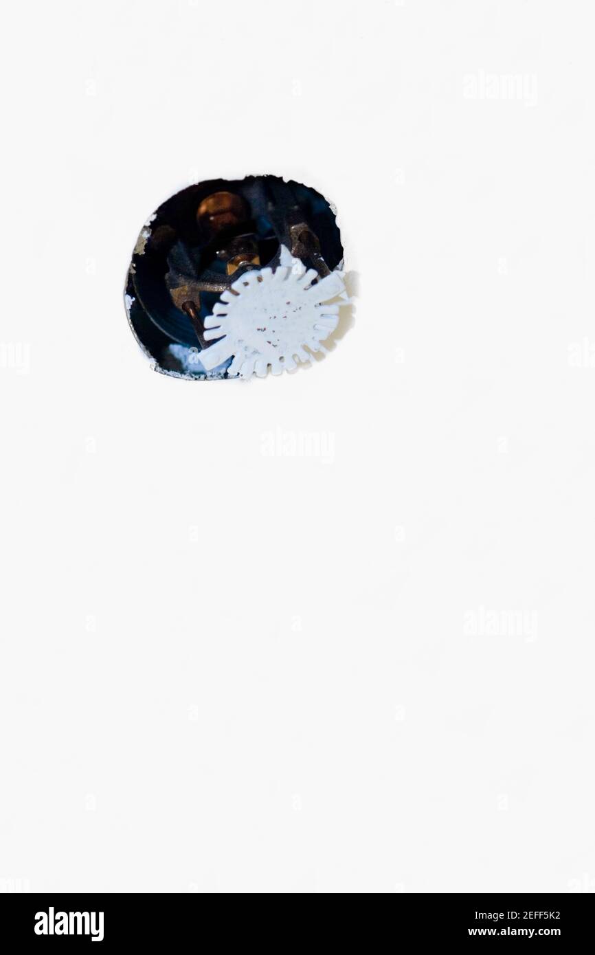 Close up image power Cut Out Stock Images & Pictures - Alamy