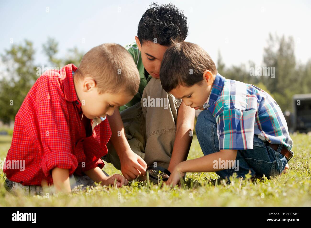 Three boys crouching on the lawn and looking down Stock Photo - Alamy
