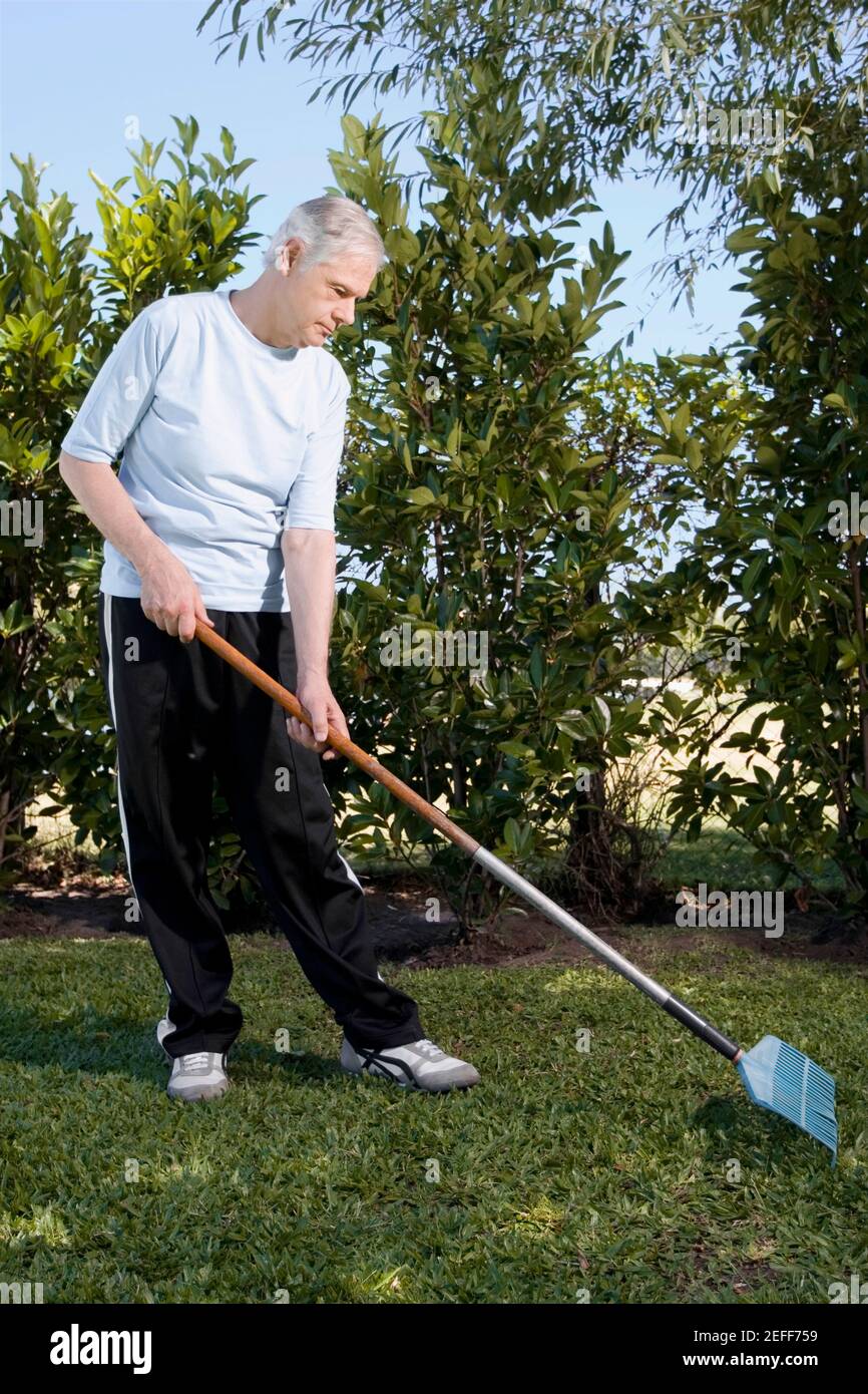 Raking care hi-res stock photography and images - Alamy