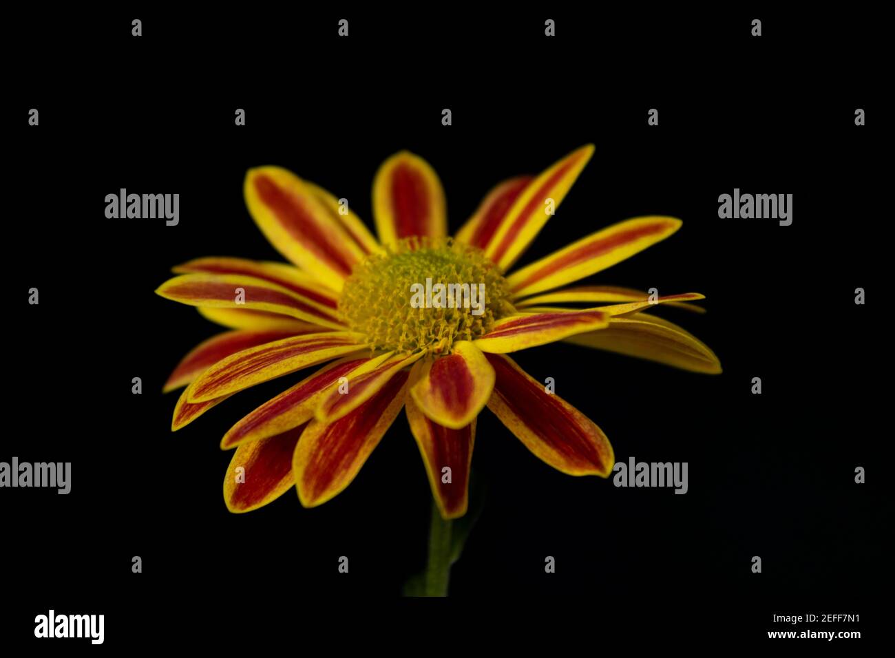 Facing up hi-res stock photography and images - Alamy