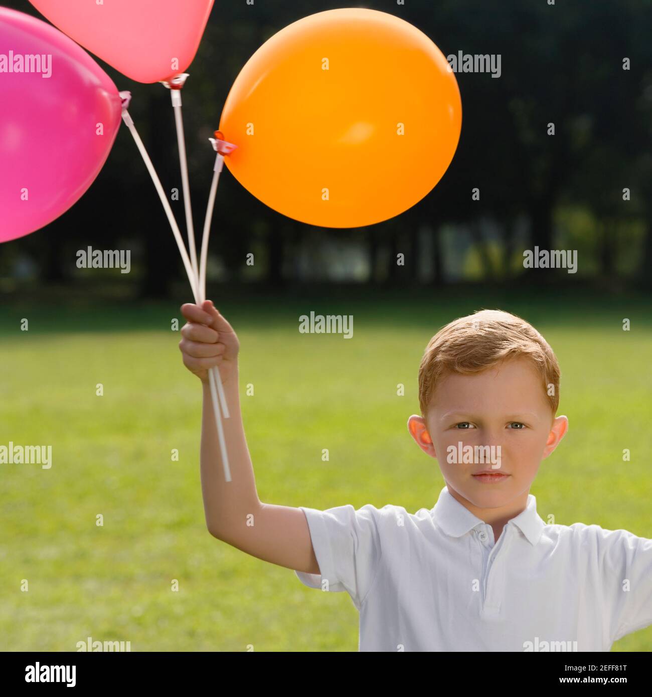 Portrait of a boy holding balloons in a park Stock Photo - Alamy