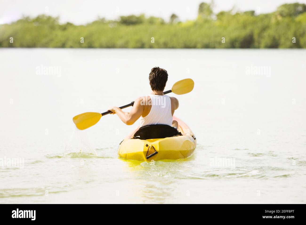 Rear view of a young man kayaking in a lake Stock Photo - Alamy