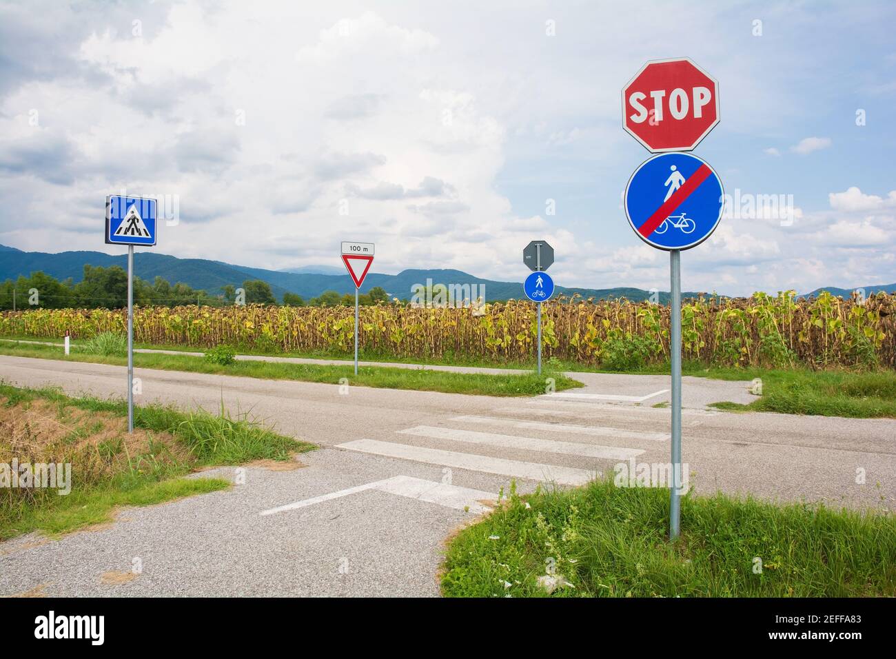 A pedestrian crossing where a cycle lane crosses a country road in ...