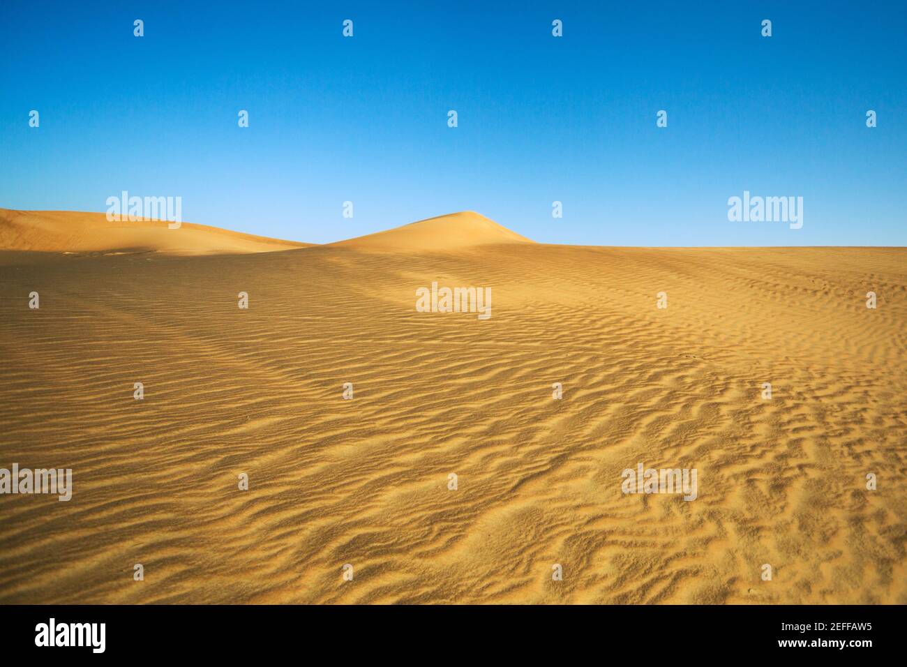 Landscape of desert dune in Al Awir (Aweer), sand surface, wild off ...
