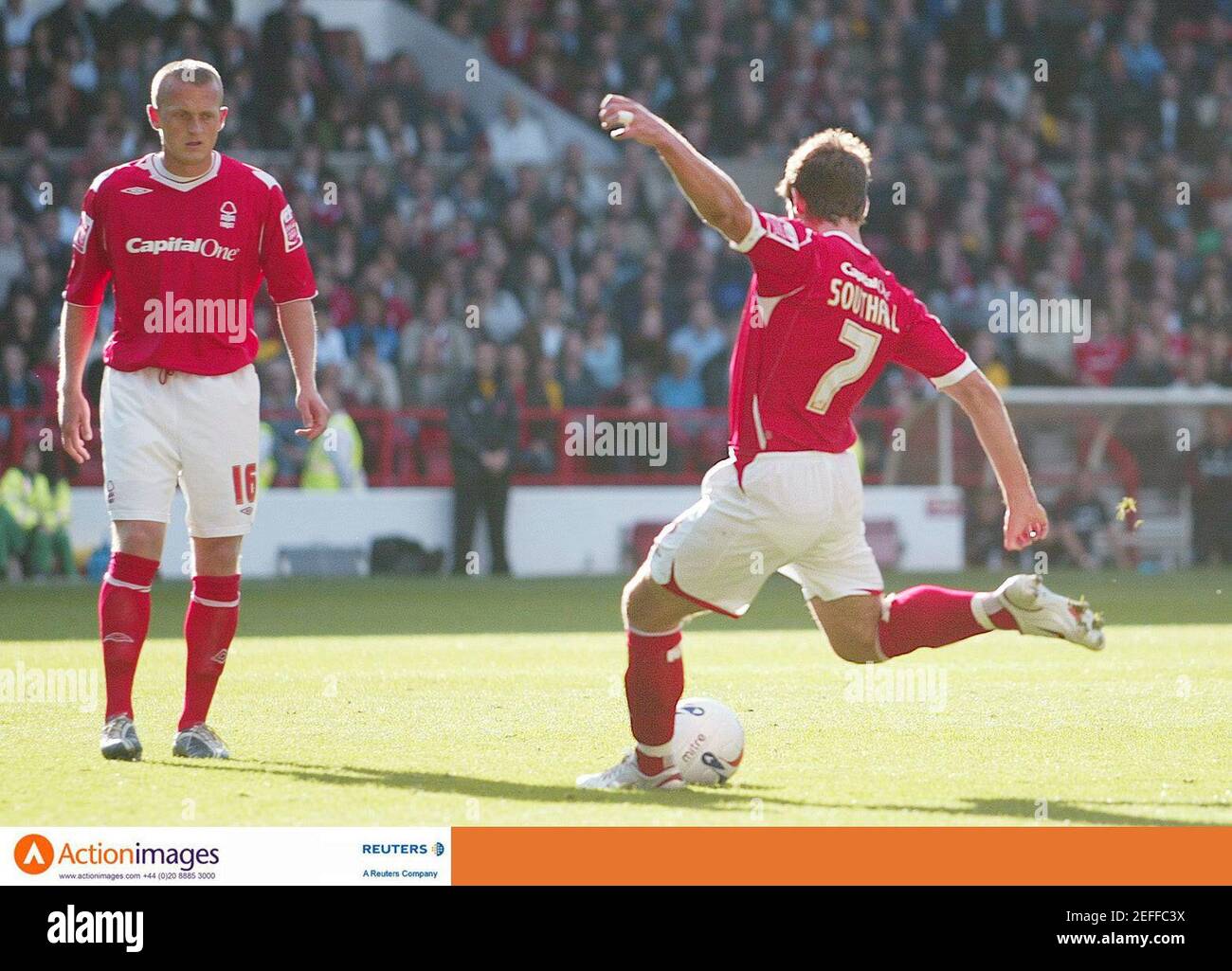 Nicky southall forest hi-res stock photography and images - Alamy