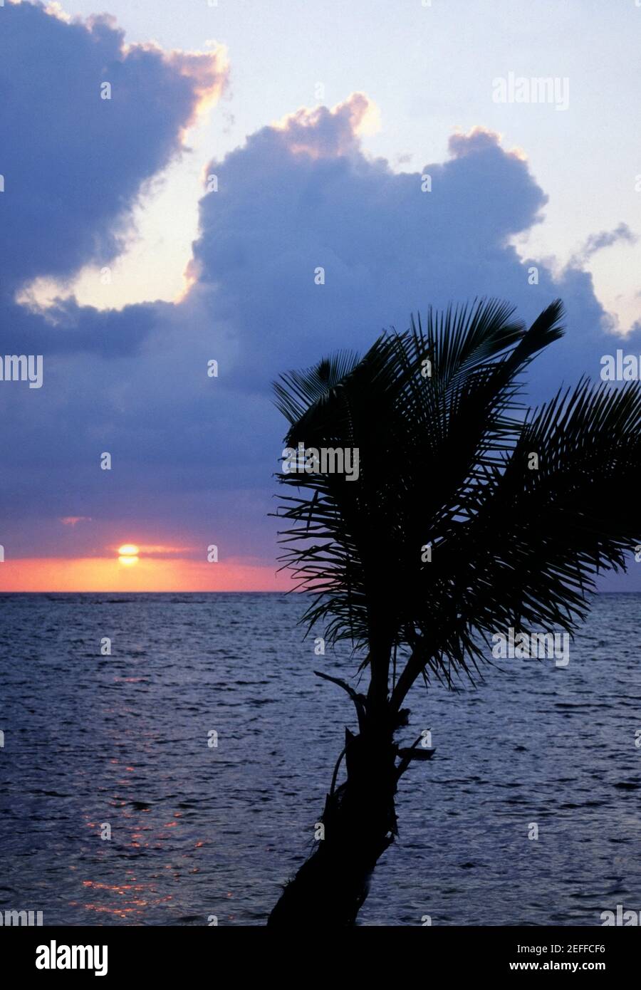 Weather in belize hi-res stock photography and images - Alamy