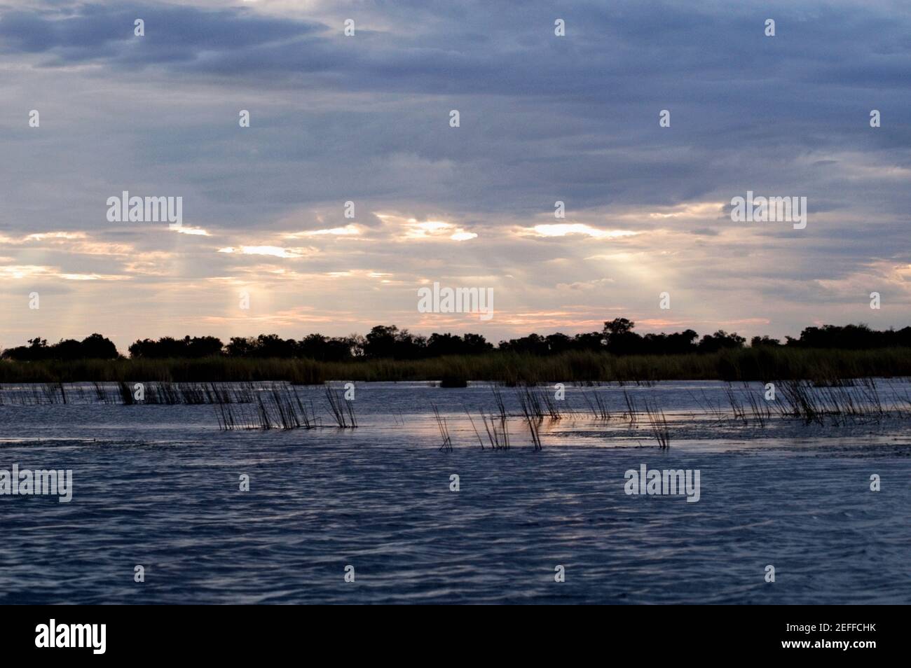 Clouds over a swamp, Okavango Delta, Botswana Stock Photo - Alamy