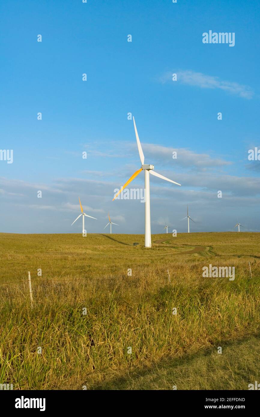 Wind turbines in a field, Pakini Nui Wind Project, South Point, Big ...