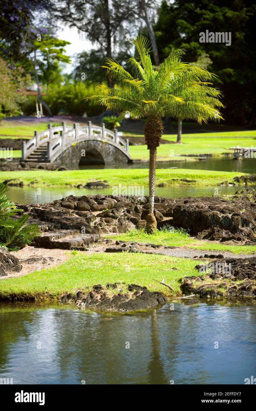 Footbridge across a river, Liliuokalani Park and Gardens, Hilo, Big ...