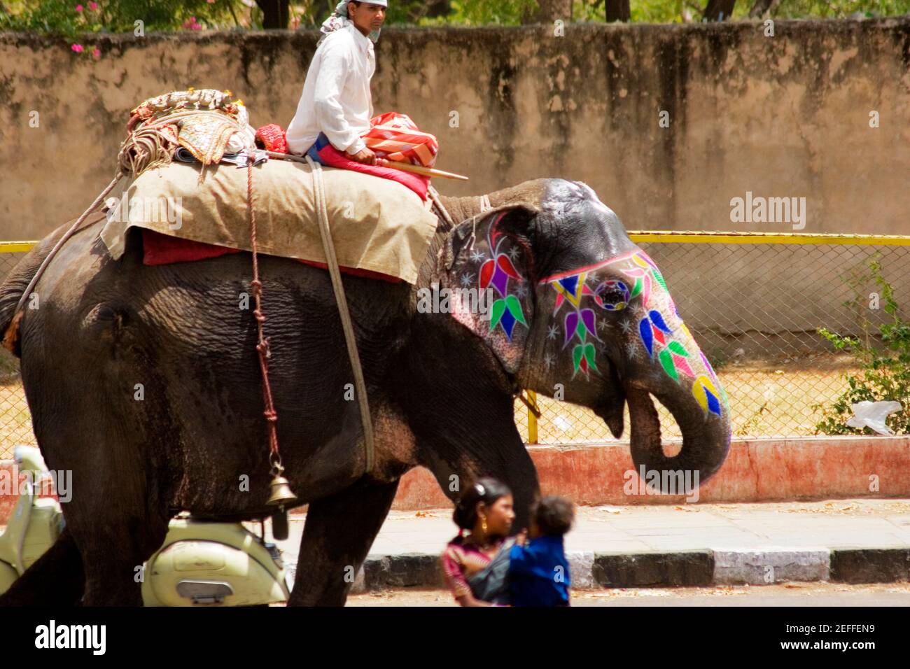 Indian man sitting on elephant hi-res stock photography and images - Alamy