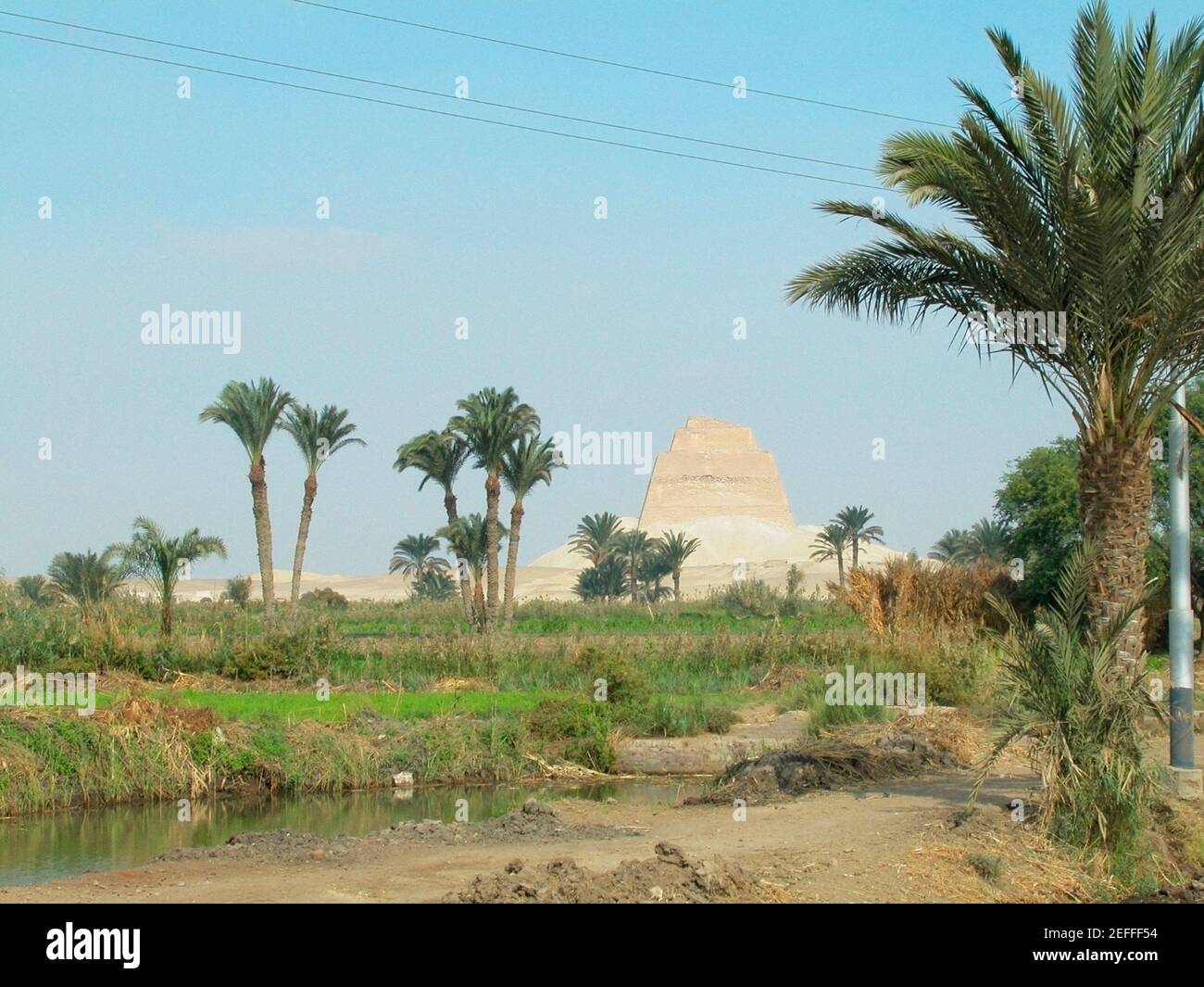 Palm trees in front of a pyramid Stock Photo - Alamy