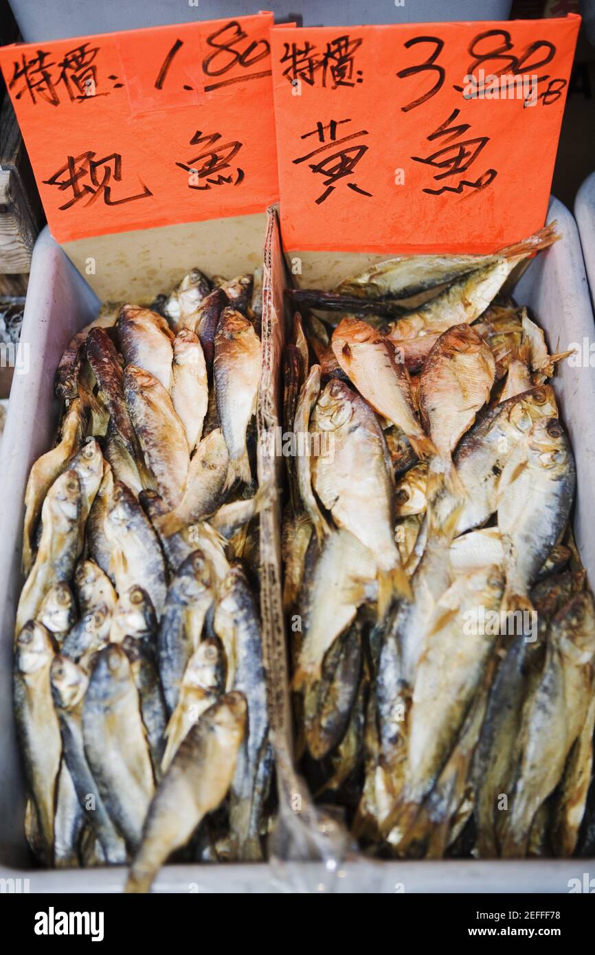 Close-up of fish in a fish market Stock Photo - Alamy