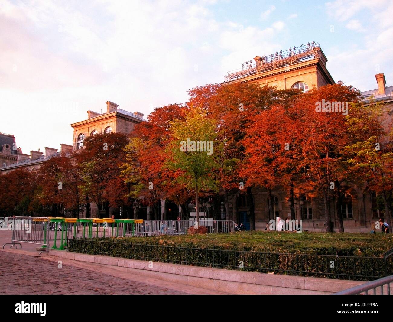 Trees along a road, Paris, France Stock Photo - Alamy