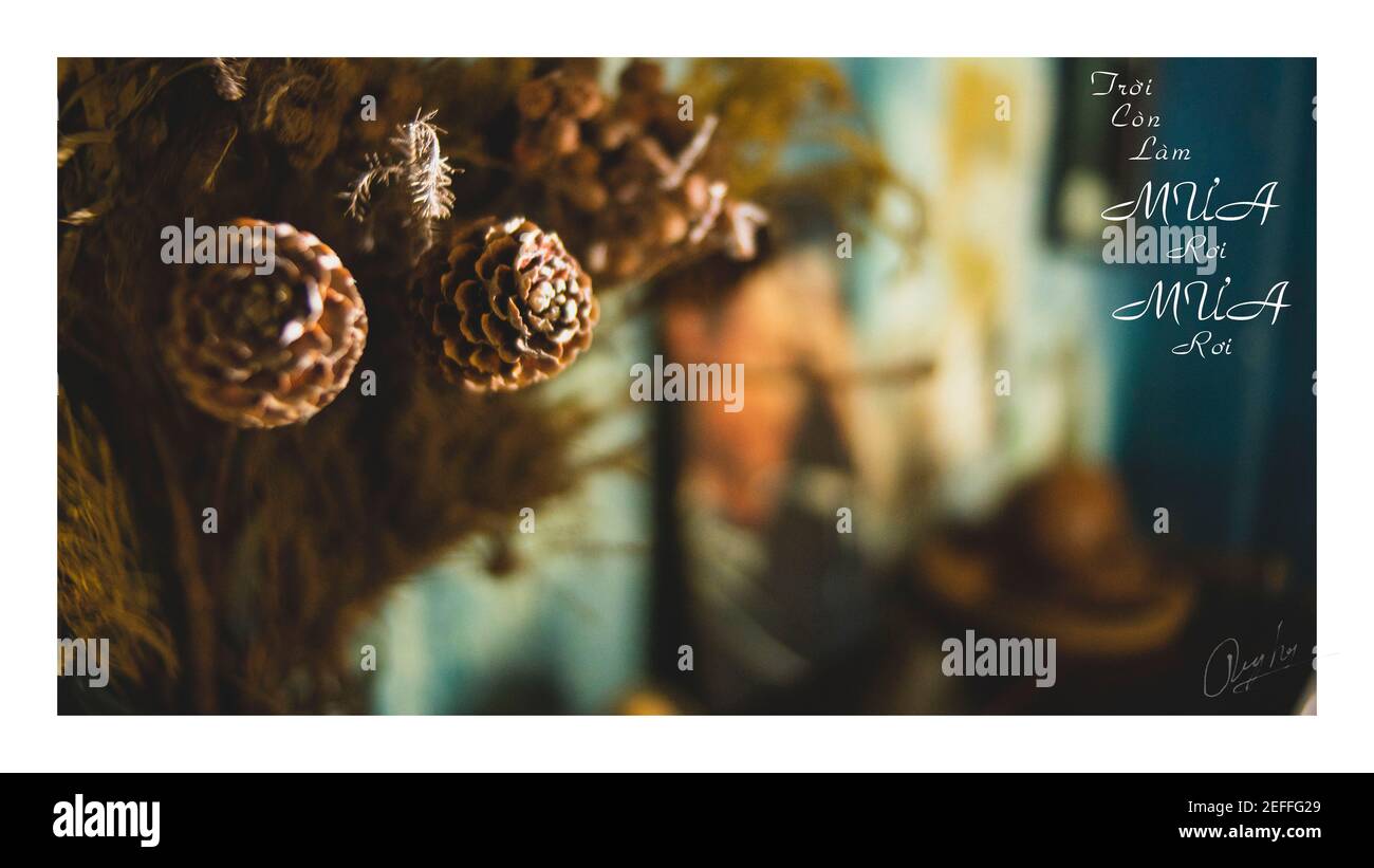 Macro photography of a flower Cut Out Stock Images & Pictures - Alamy