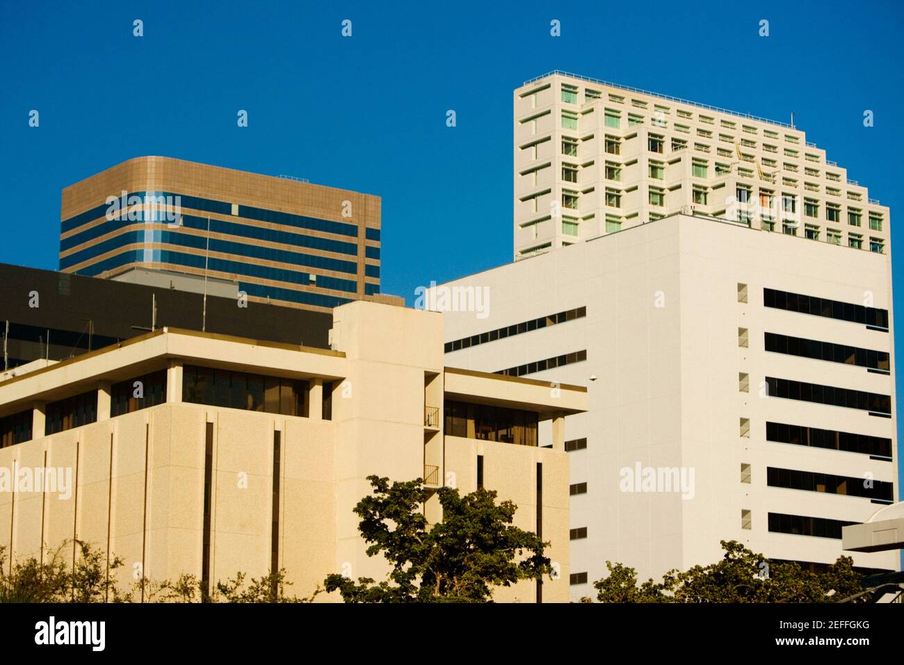 Low angle view of buildings in a city, Miami, Florida, USA Stock Photo ...