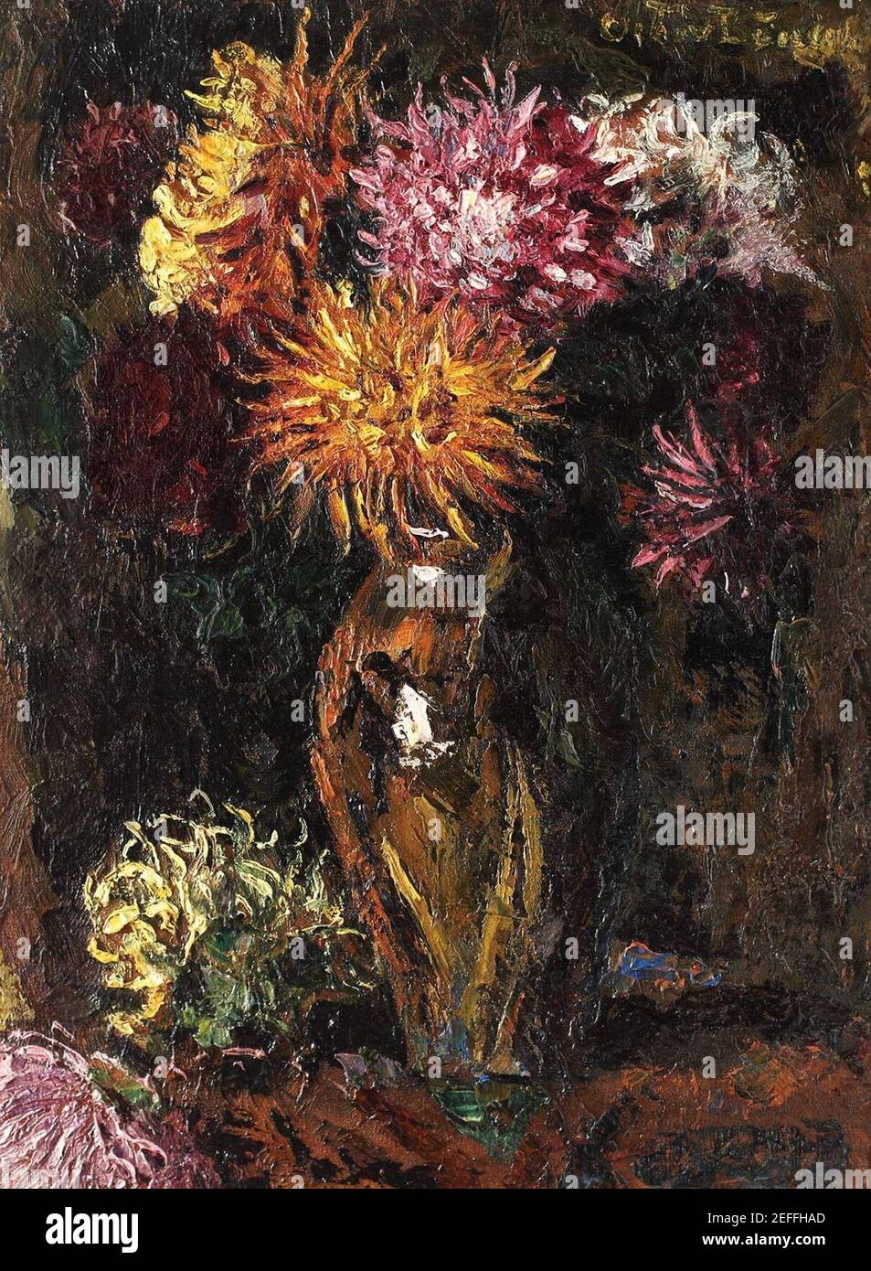 Crizanteme hi-res stock photography and images - Alamy