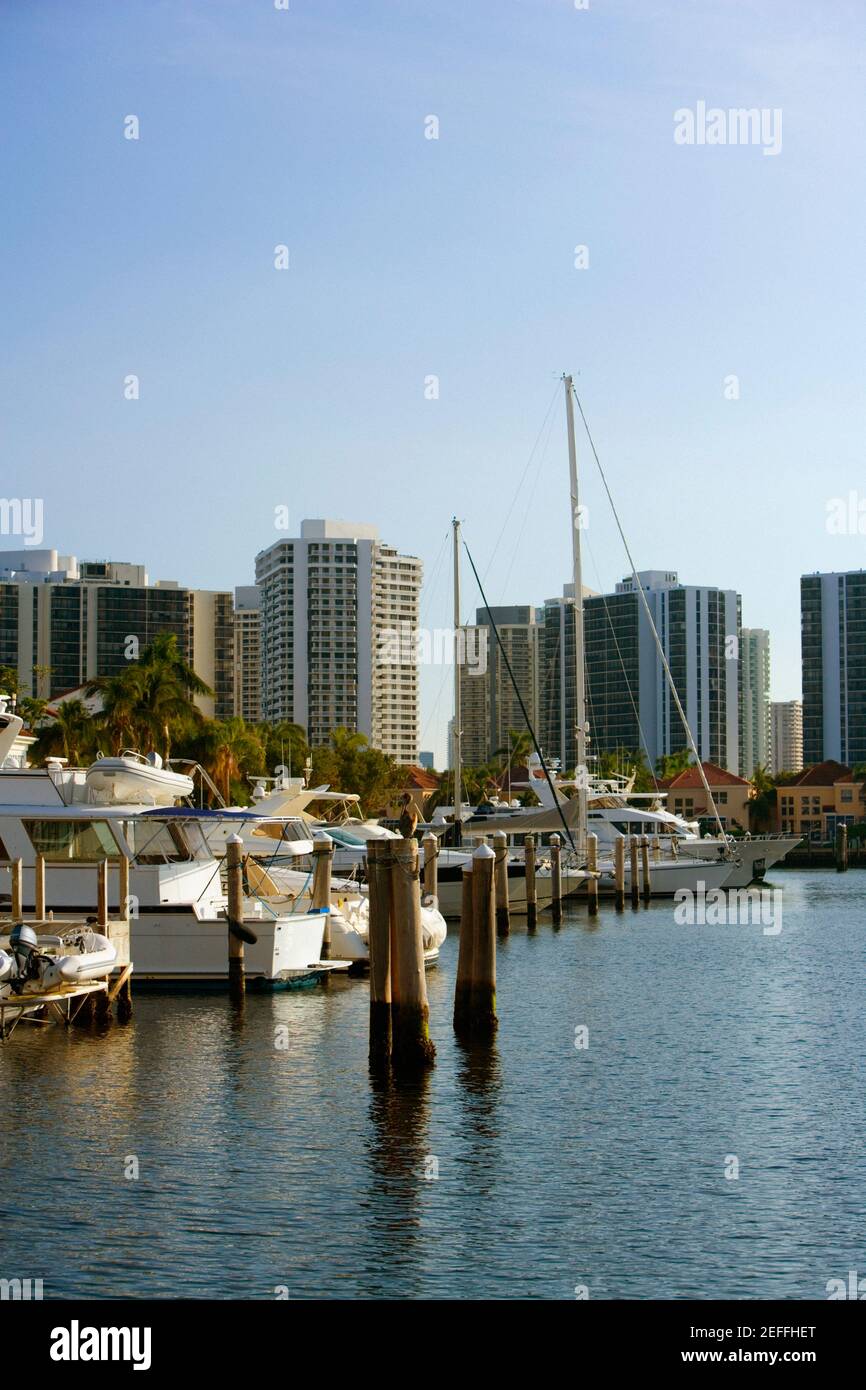 Boats moored at a dock, Miami, Florida, USA Stock Photo - Alamy