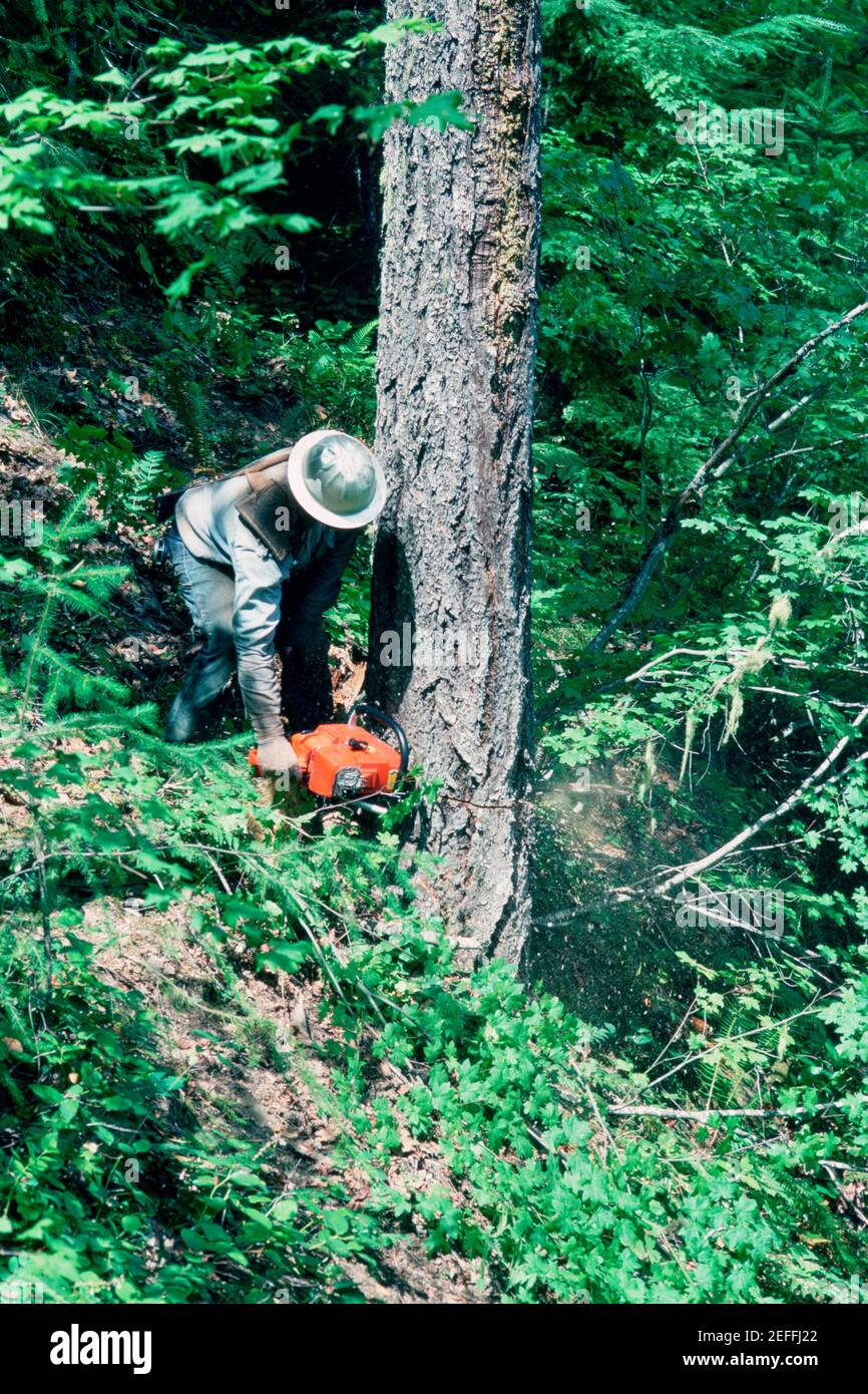 Man cutting down tree black and white hi-res stock photography and ...
