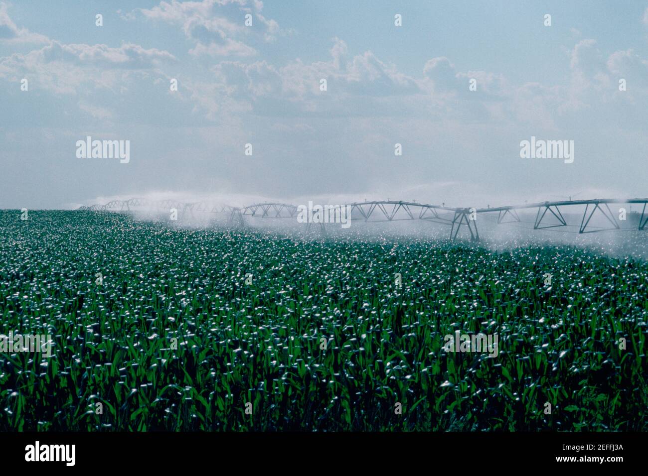 Center pivot irrigation system Stock Photo - Alamy
