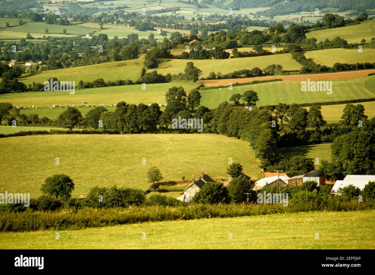 Western country living hi-res stock photography and images - Alamy