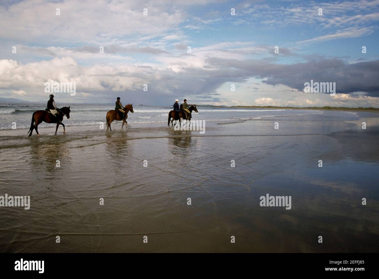 Four people horseback riding on the beach, Sligo, Republic of Ireland ...