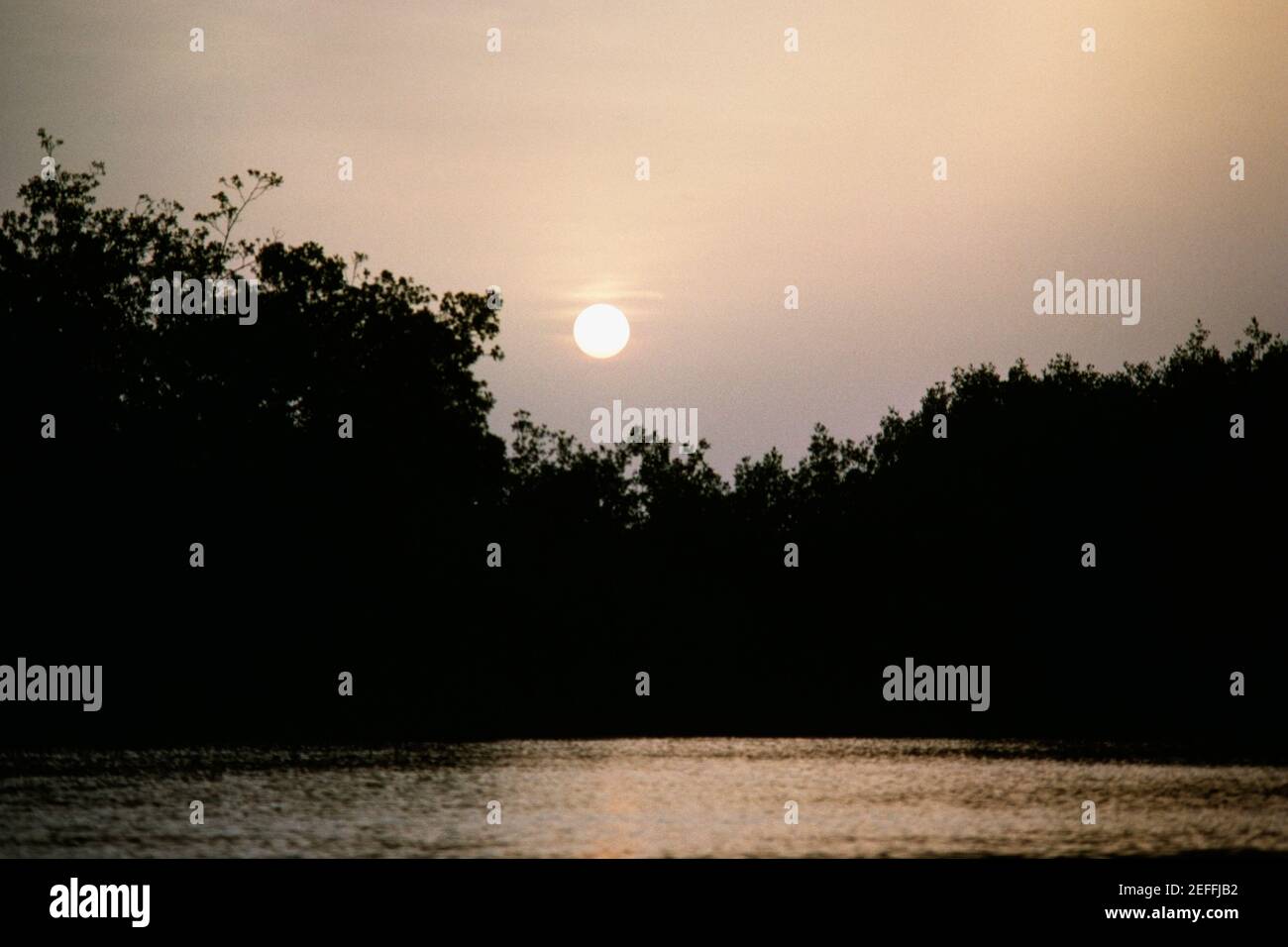A scenic sunset over a salt marsh, Trinidad, Caribbean Stock Photo - Alamy