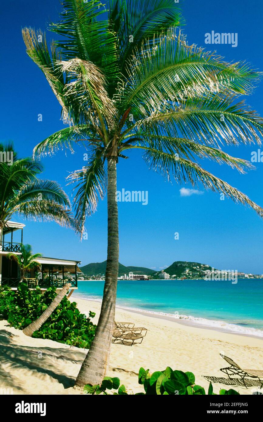 Very calm beach hi-res stock photography and images - Alamy