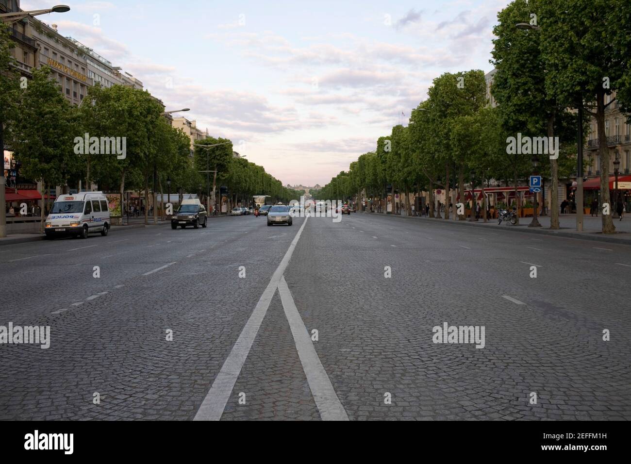 Trees along a road, Paris, France Stock Photo - Alamy