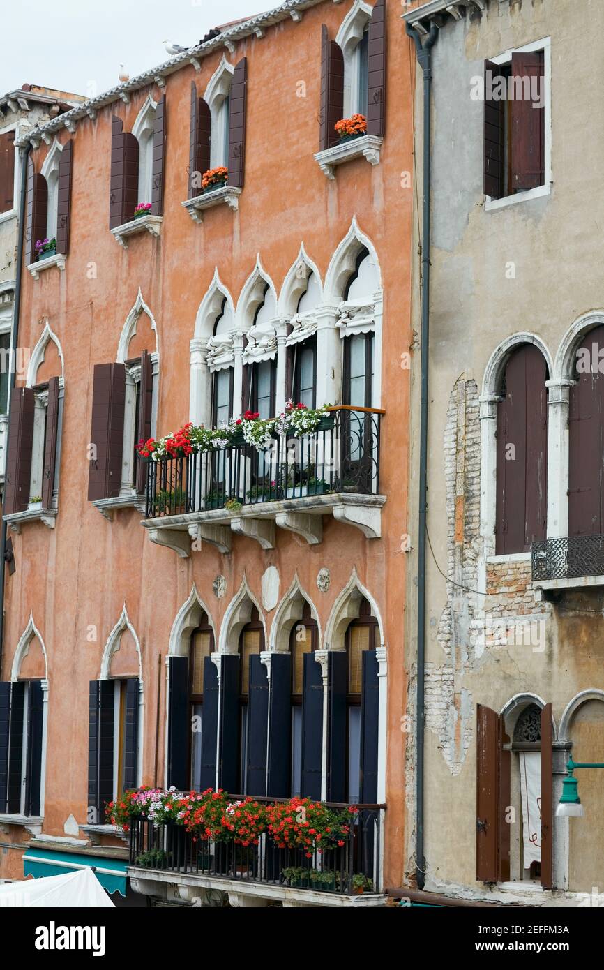 Window boxes hanging on the railings of windows, Venice, Italy Stock ...