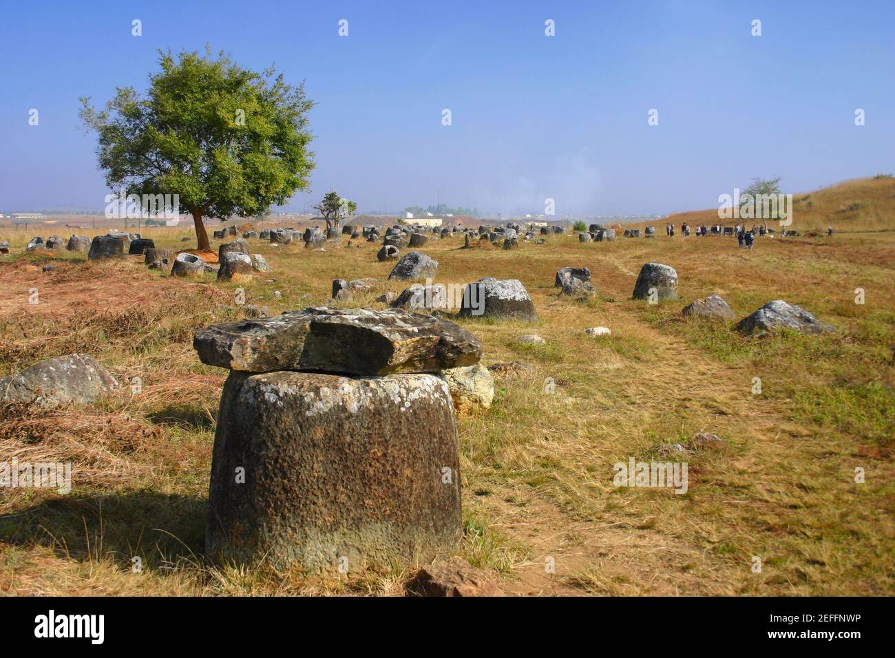 Field of jars hi-res stock photography and images - Alamy