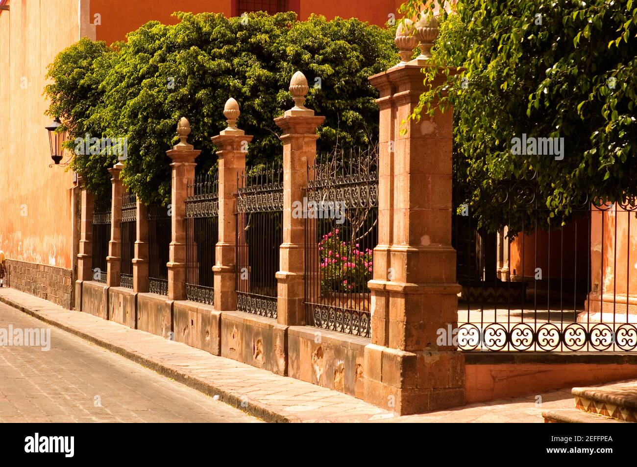Trees in the courtyard of a building, Mexico Stock Photo - Alamy