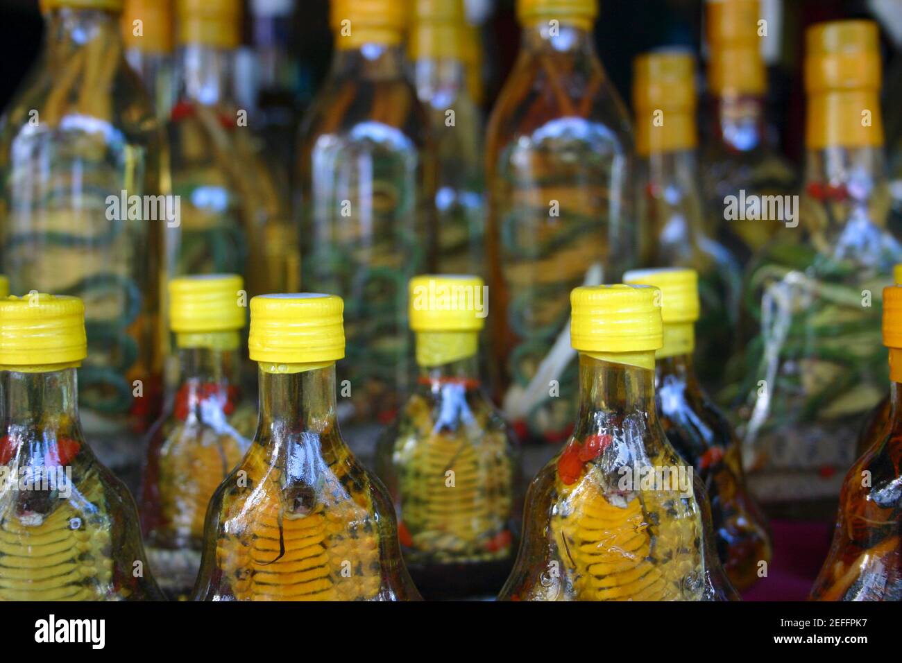 Preserved snakes in jars, Chiang Khong, Thailand Stock Photo - Alamy