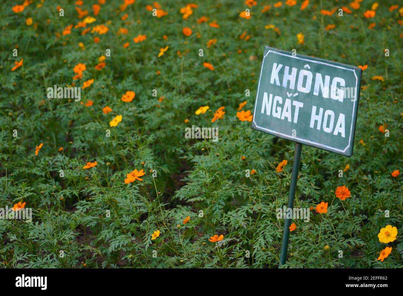 In depth information hi-res stock photography and images - Alamy