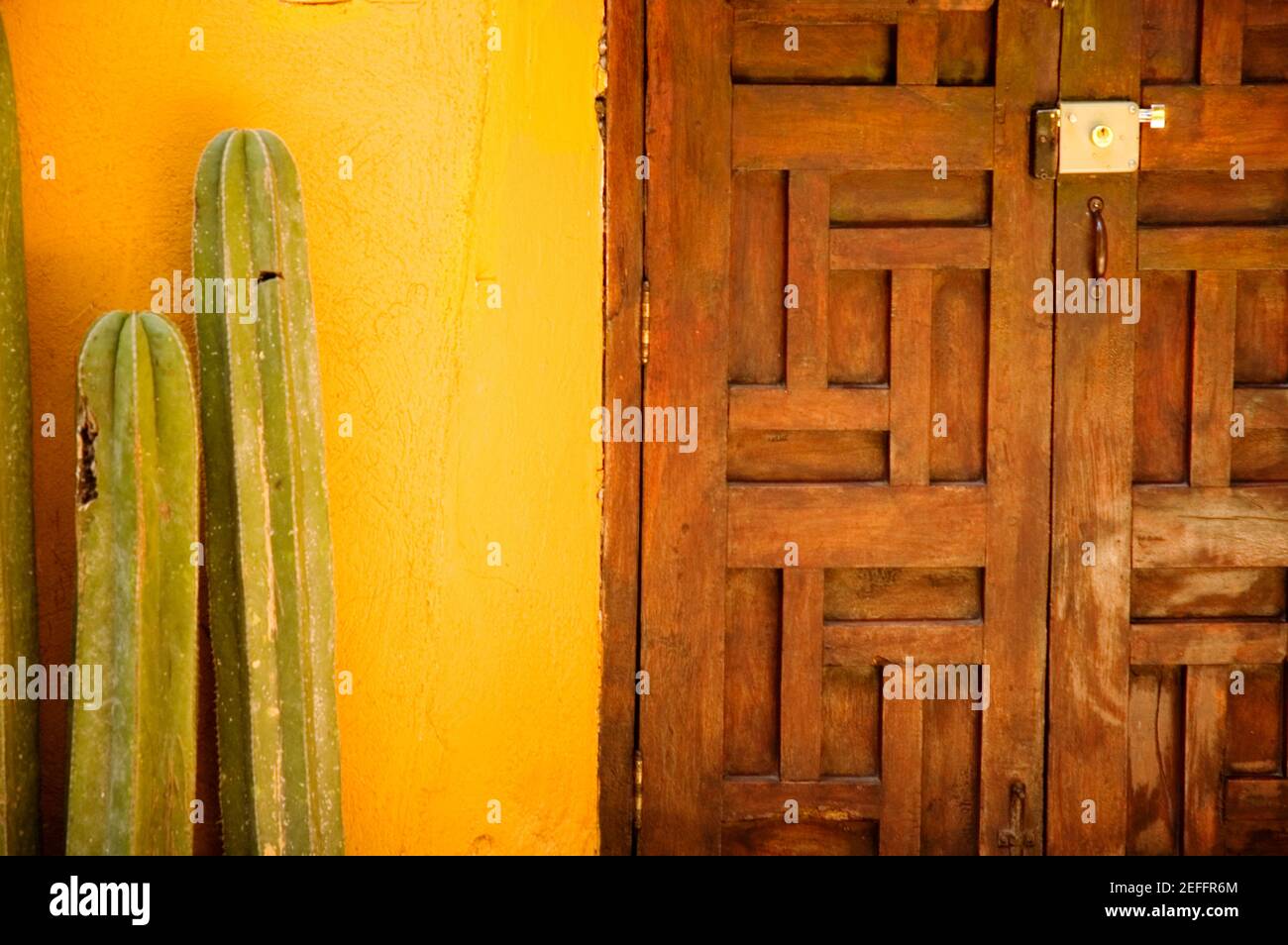 Cactus wood door hi-res stock photography and images - Alamy