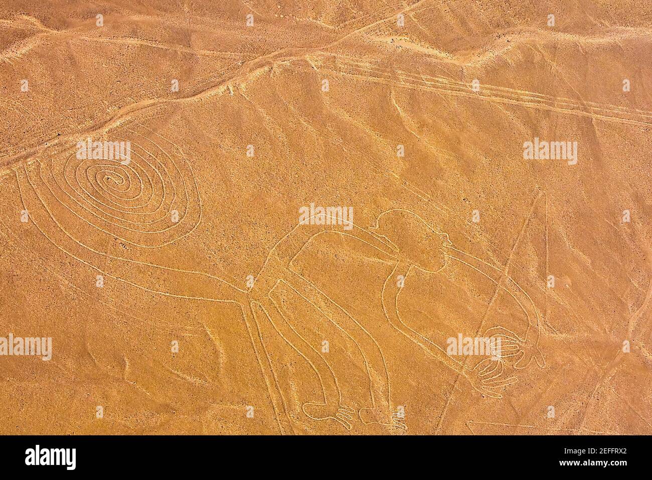 Aerial view of nazca lines representing a monkey, Nazca, Peru Stock ...