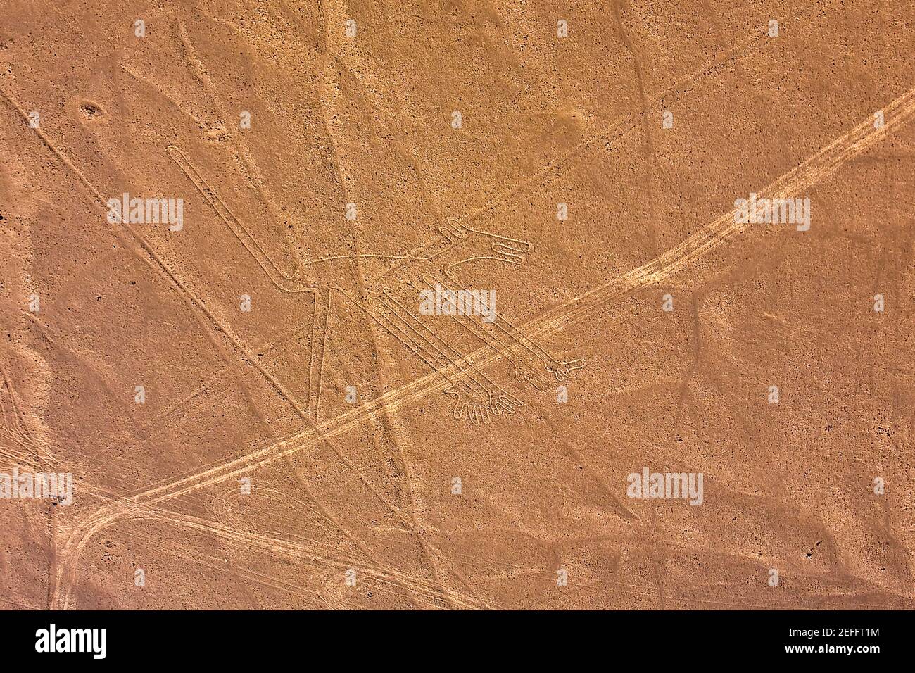 High angle view of Nazca lines, Nazca, Peru Stock Photo - Alamy