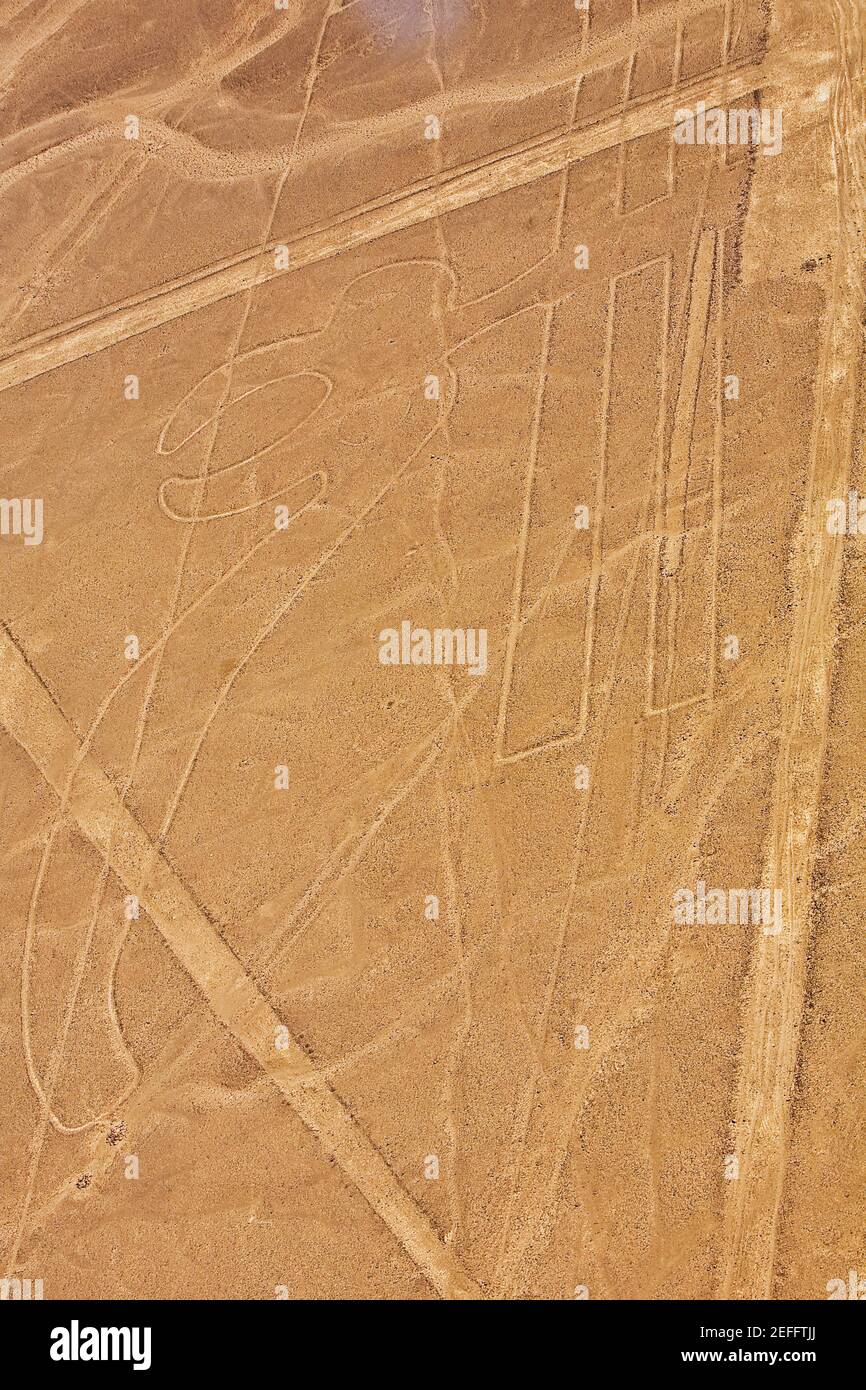 Aerial view of Nazca lines representing a parrot in a desert, Nazca ...